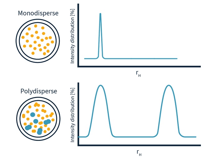 エムエステクノシステムズ｜バイオロジクス特性解析 Prometheus Panta