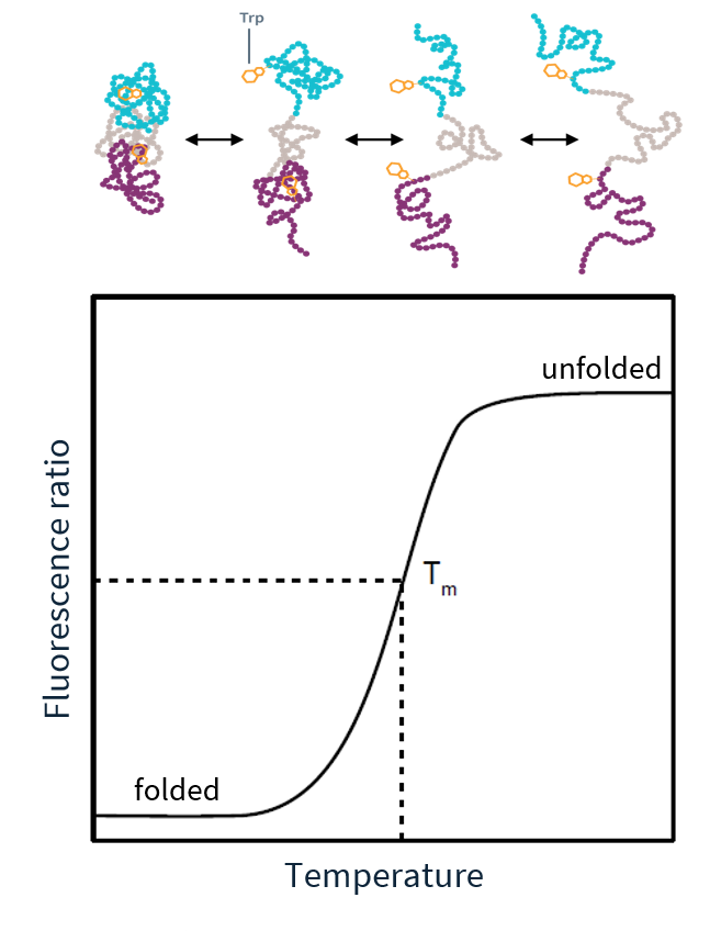 エムエステクノシステムズ｜バイオロジクス特性解析 Prometheus Panta